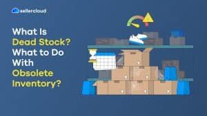 What Is Dead Stock? What to Do With Obsolete Inventory? | Sellercloud
